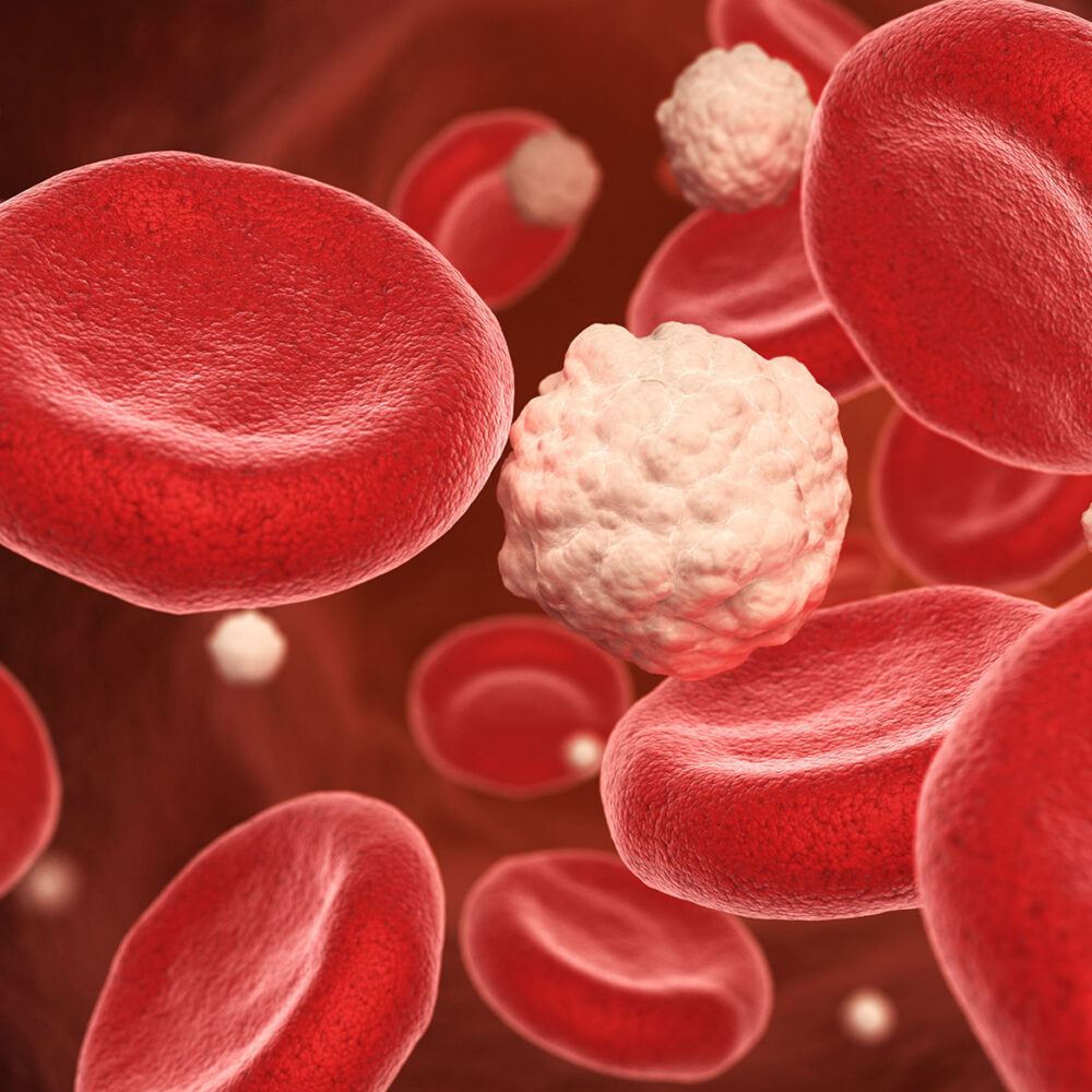 The Six Pack Revolution